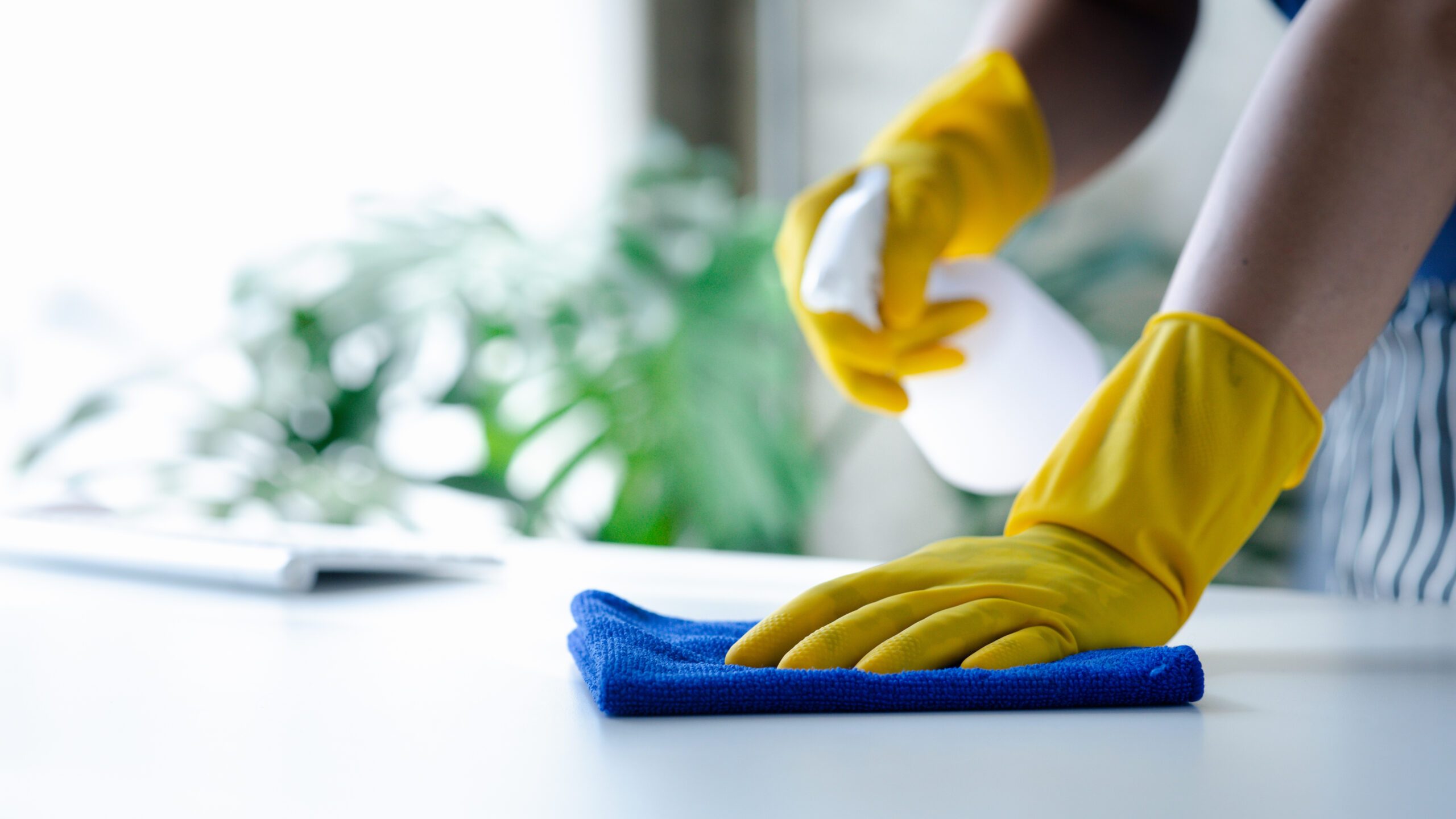 Règles d'hygiène : les bonnes pratiques | Le Cèdre